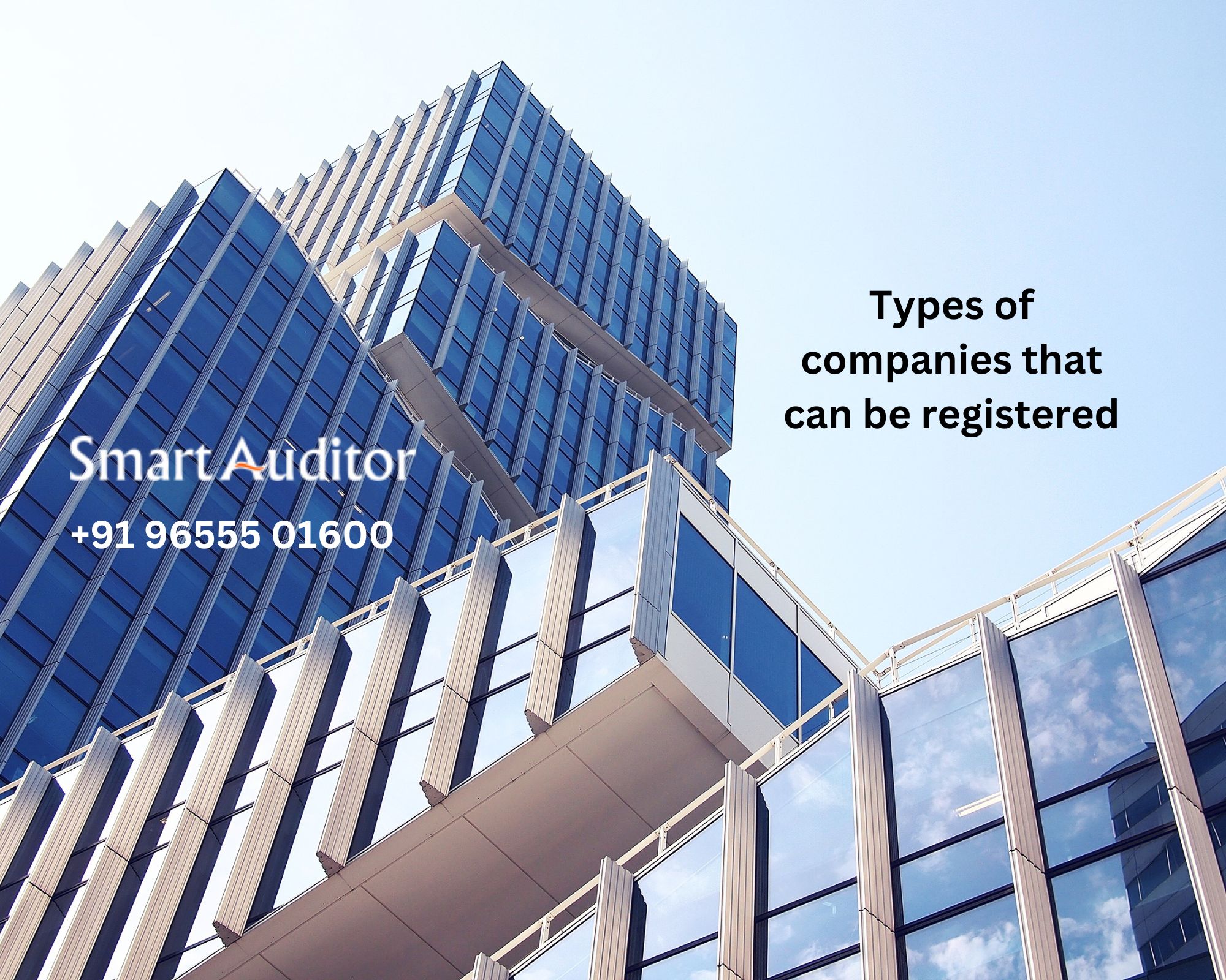 Types of companies that can be registered